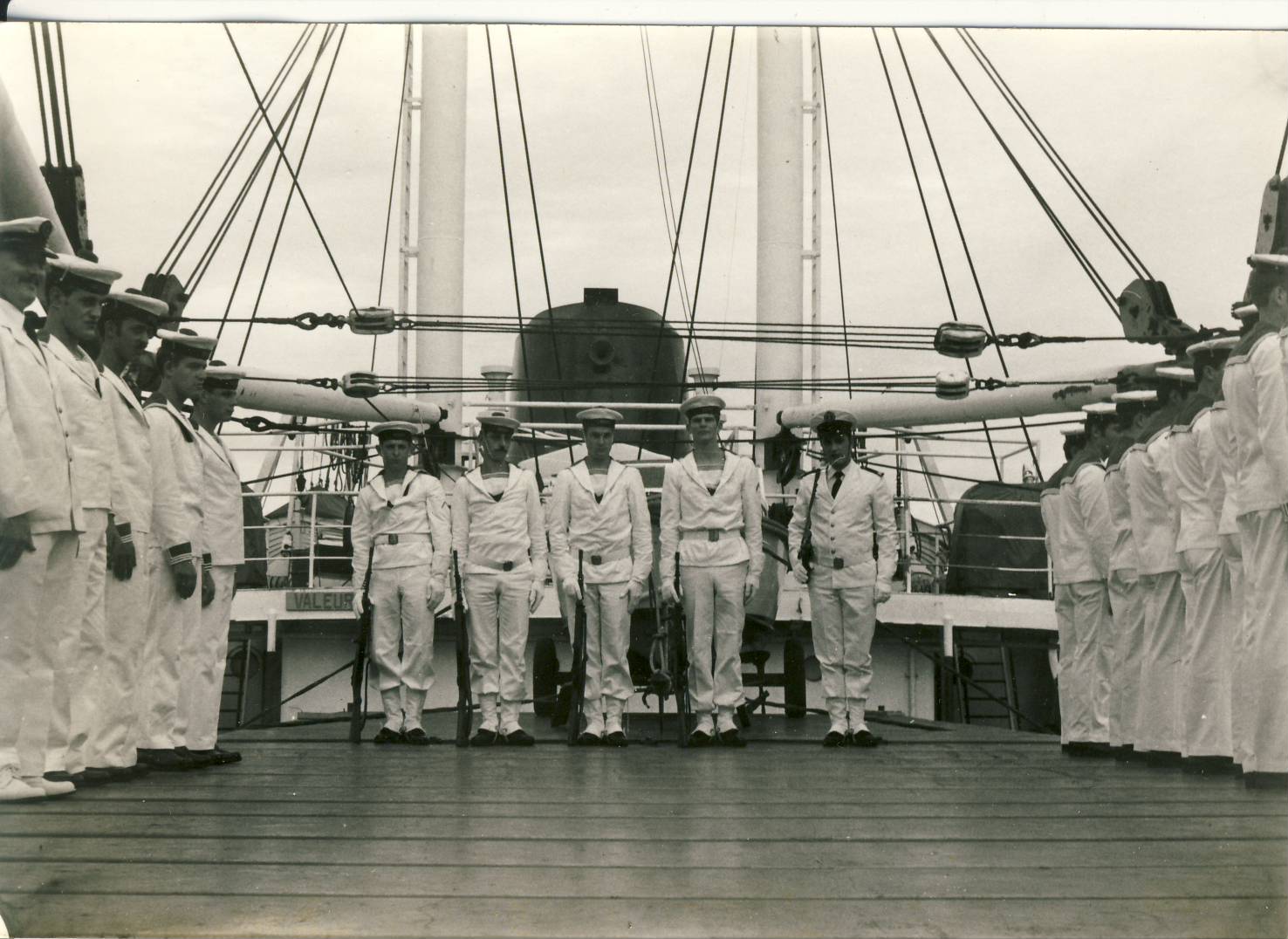 Photo Marine - berry - 15548