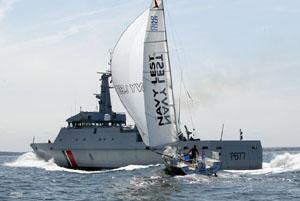 Photo Marine - cormoran - 4900