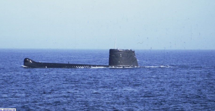 DaphnÃ© - Photo n°4325