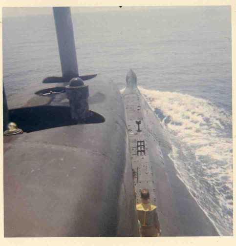 Junon - Photo n°3464