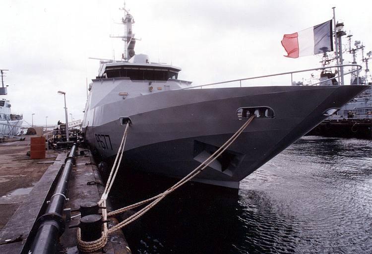 Cormoran - Photo n°357