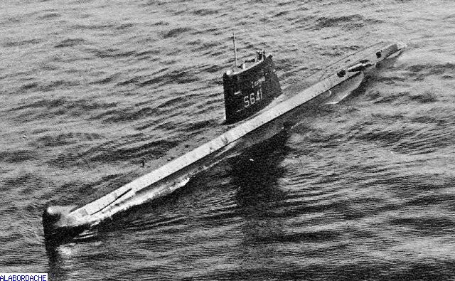 DaphnÃ© - Photo n°4323