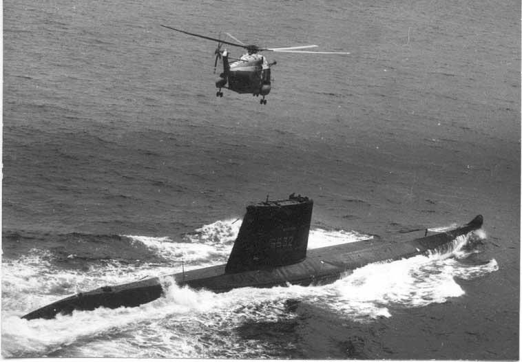 Marsouin - Photo n°11805