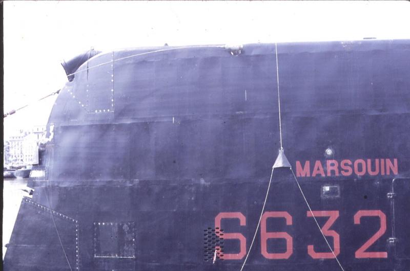 Marsouin - Photo n°2585