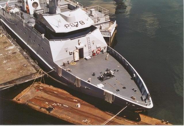 Photo Marine - pluvier - 479