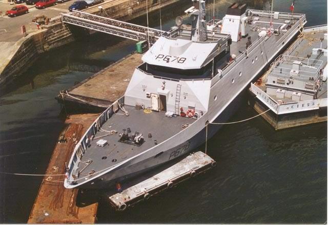 Pluvier - Photo n°2602