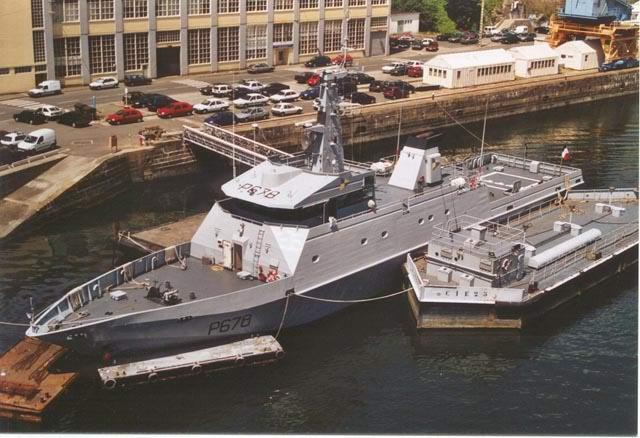 Pluvier - Photo n°4722